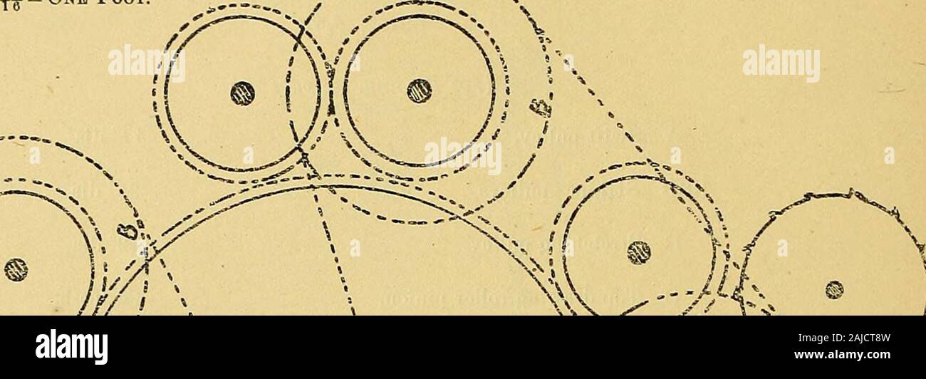 The theory and practice of jute spinning; being a complete description ...