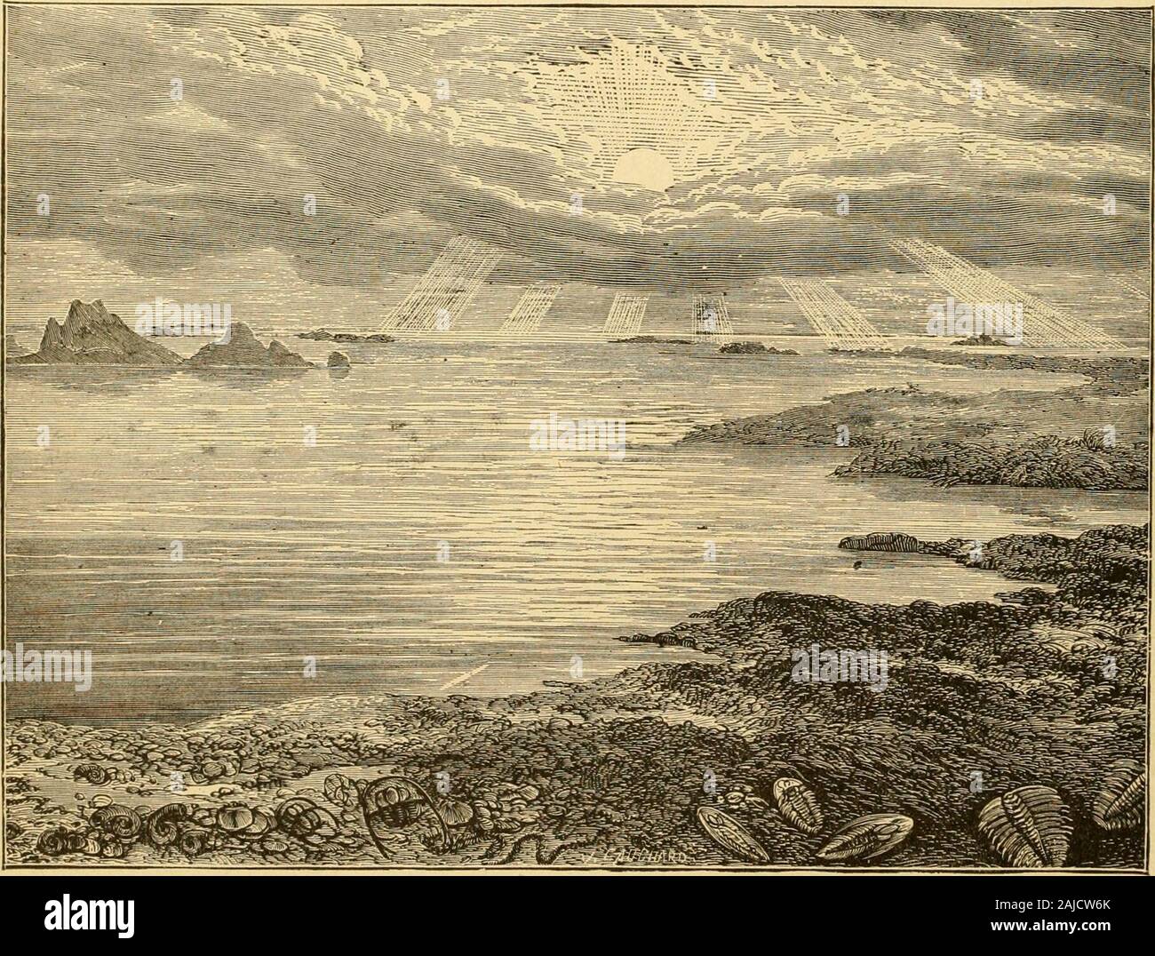 Azoic hi-res stock photography and images - Alamy