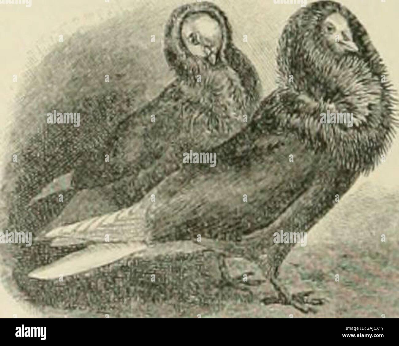 Atlas supporting the world hi-res stock photography and images - Alamy