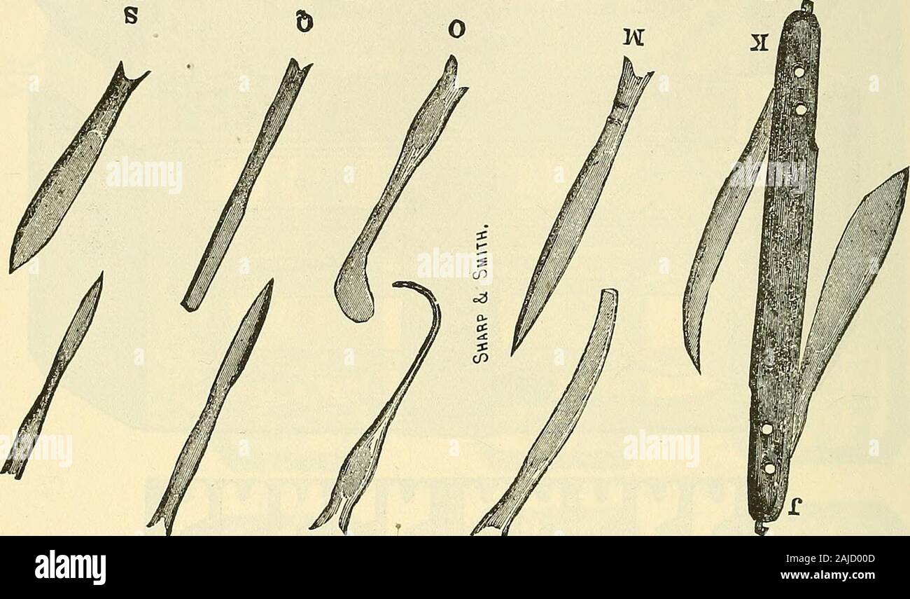 Forceps straight needle hi-res stock photography and images - Alamy