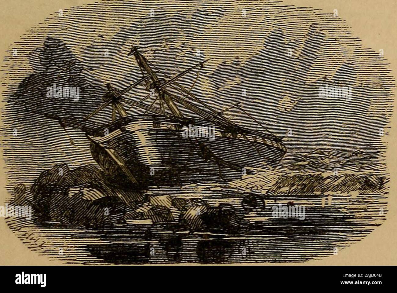 Fury birds hi-res stock photography and images - Alamy