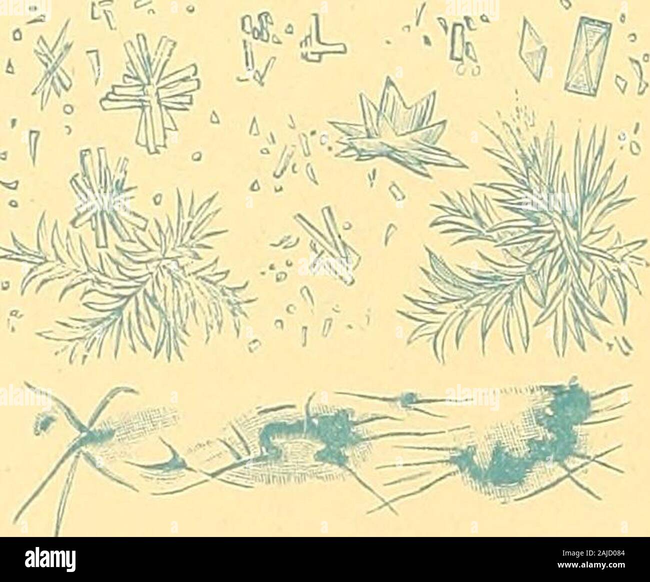 Clinical diagnosis : the bacteriological, chemical, and microscopical ...