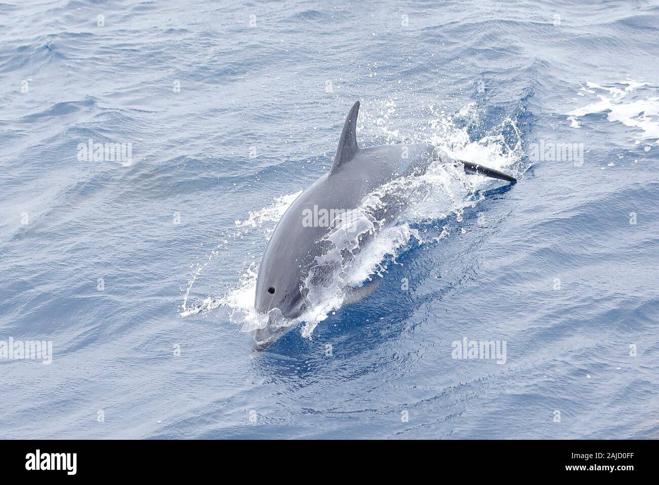High speed photograph hi-res stock photography and images - Alamy
