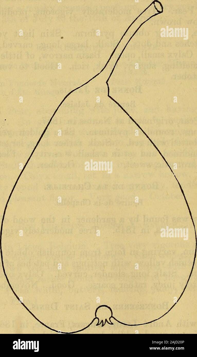 Curved calyx hi-res stock photography and images - Alamy