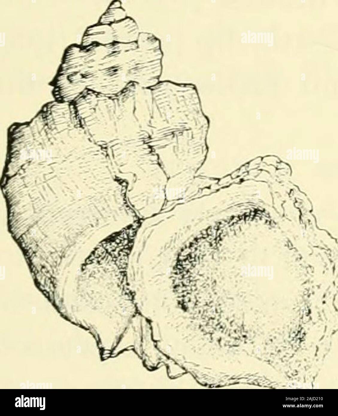 Pi spiral hi-res stock photography and images - Alamy
