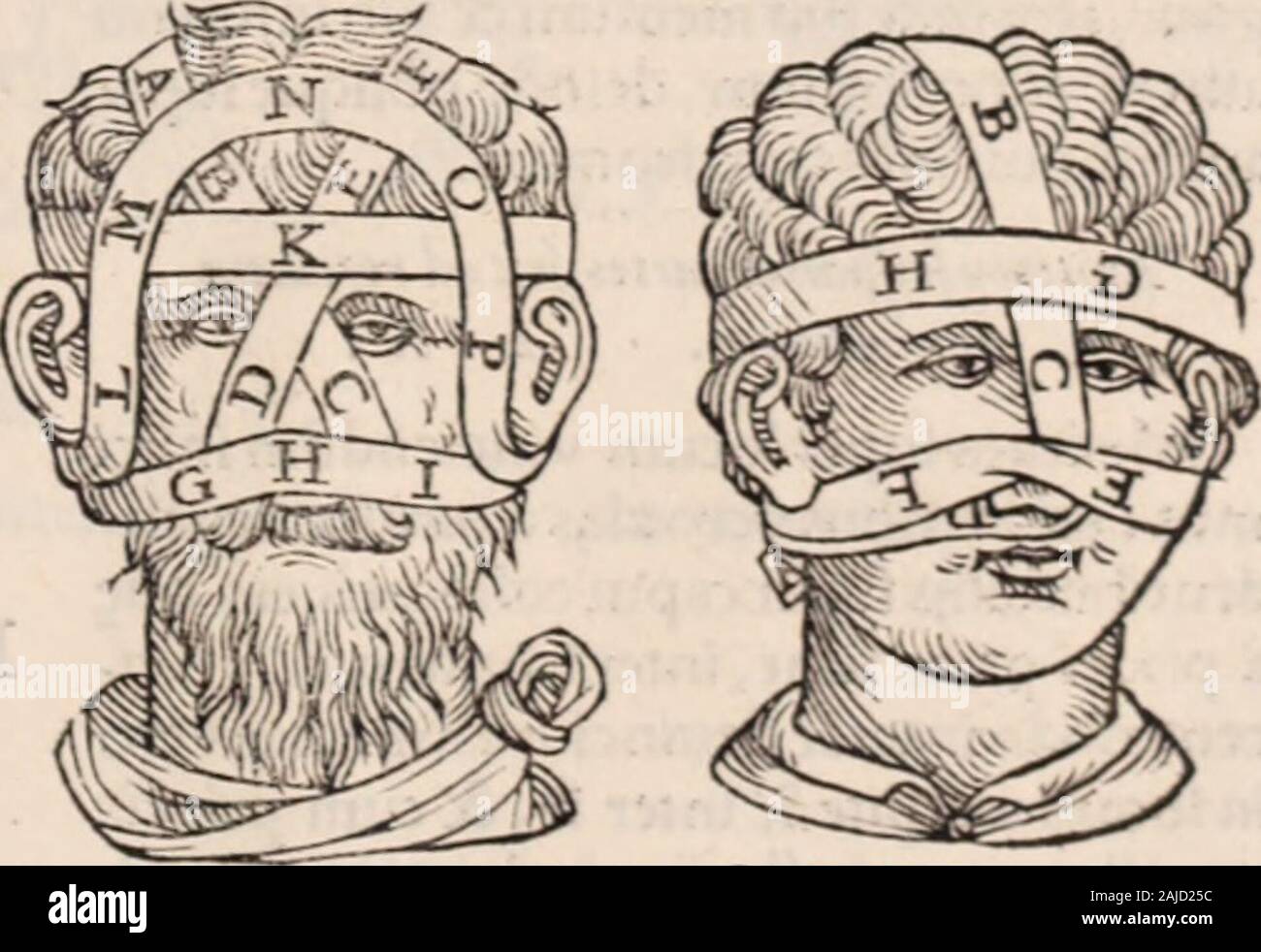 Vinculum hi-res stock photography and images - Alamy