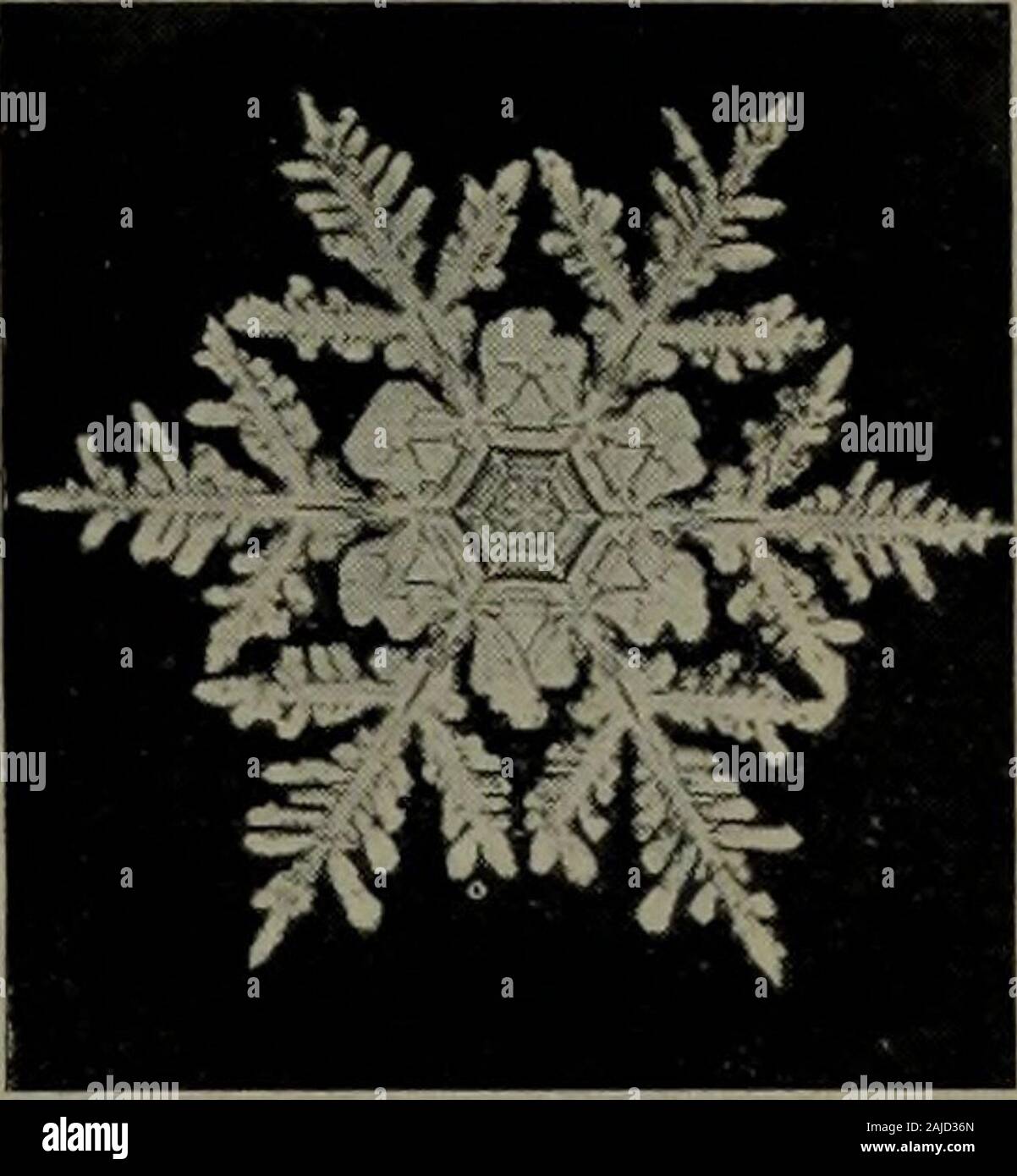 The American annual of photography . SNOW CRYSTALS. WILSON A. BENTLEY ...
