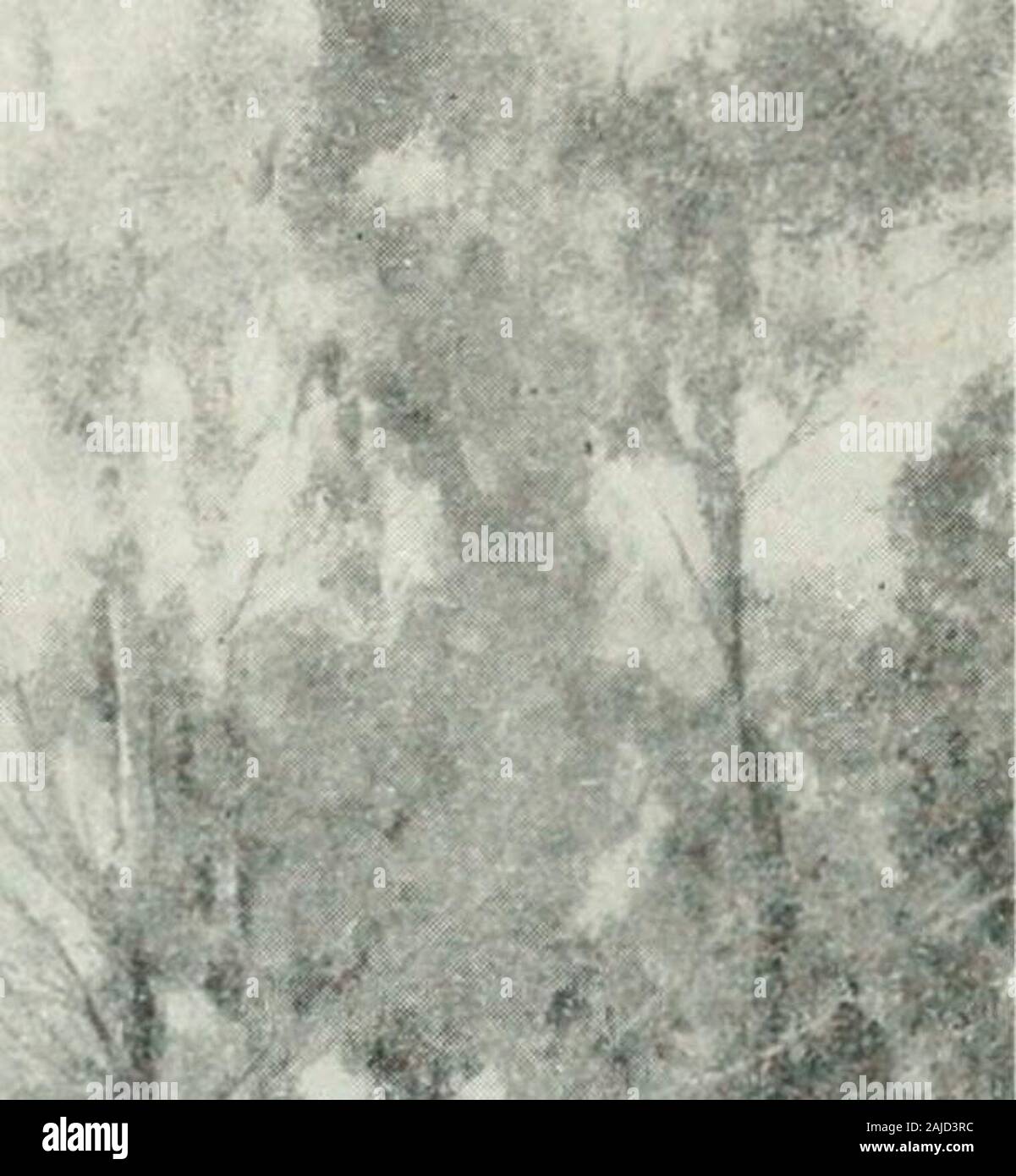 Interpretative art hi-res stock photography and images - Alamy