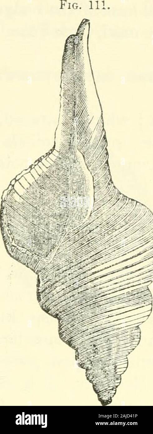 Thespire hi-res stock photography and images - Alamy