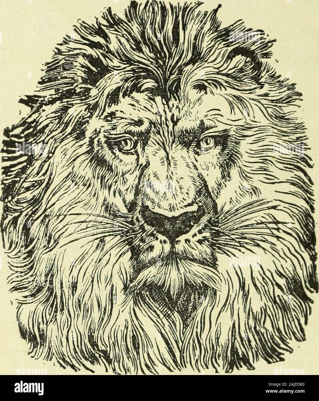 Corredores de base hi-res stock photography and images - Alamy