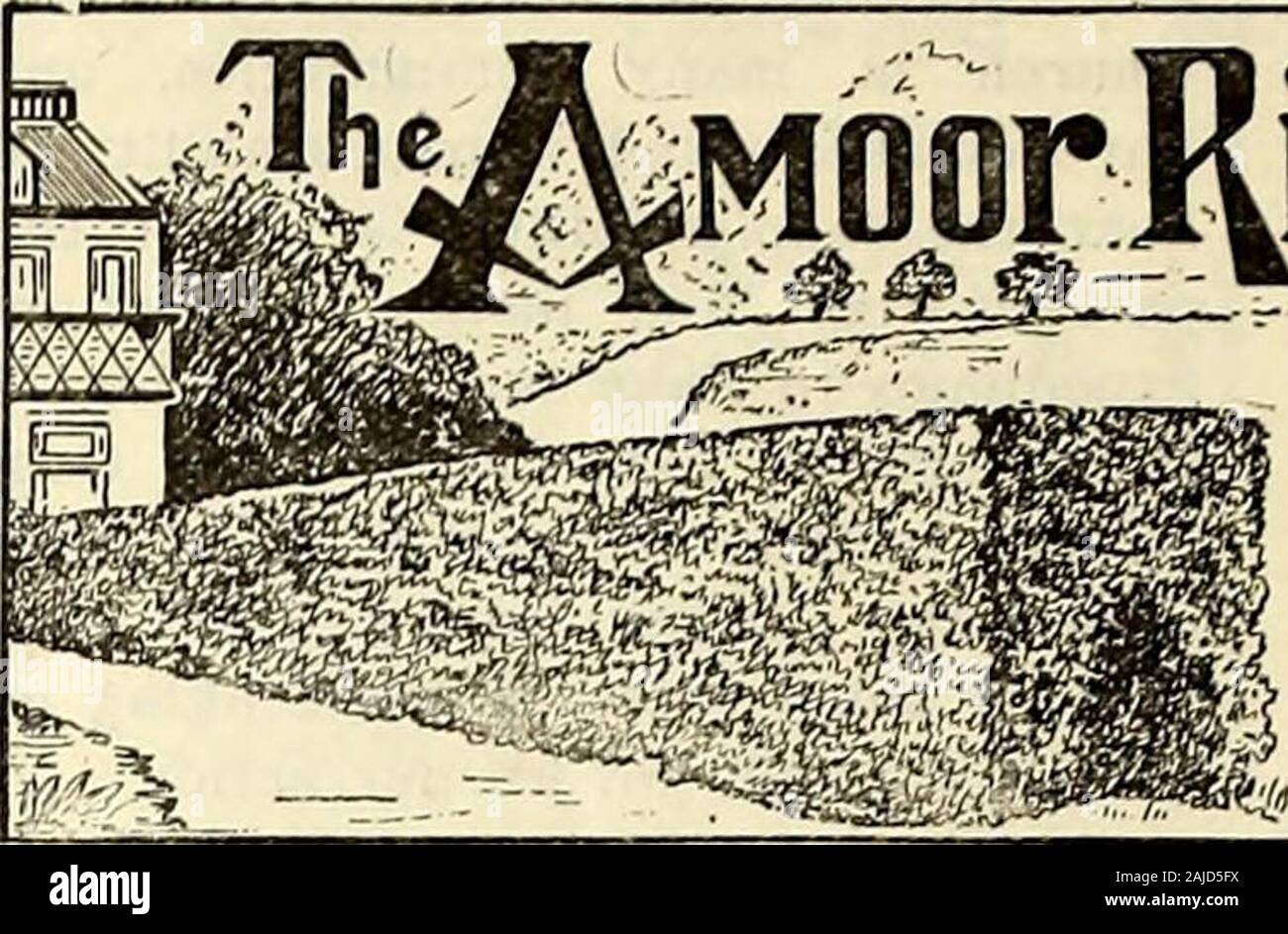 Take up thy bed hi-res stock photography and images - Alamy