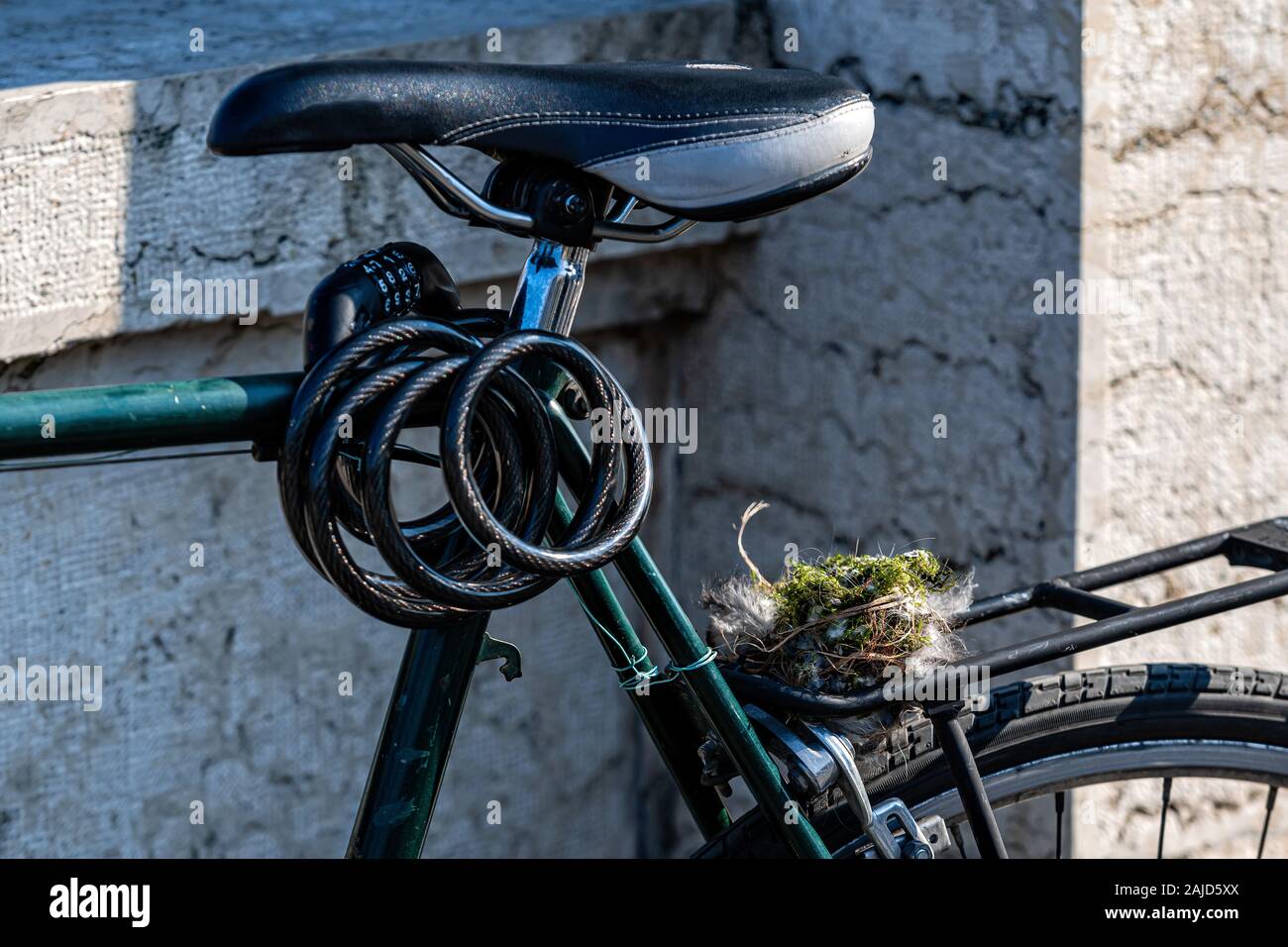 Park bike carrier hi-res stock photography and images - Alamy