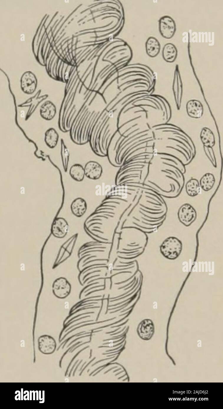 Practice of medicine : a manual for students and practitioners . have ...