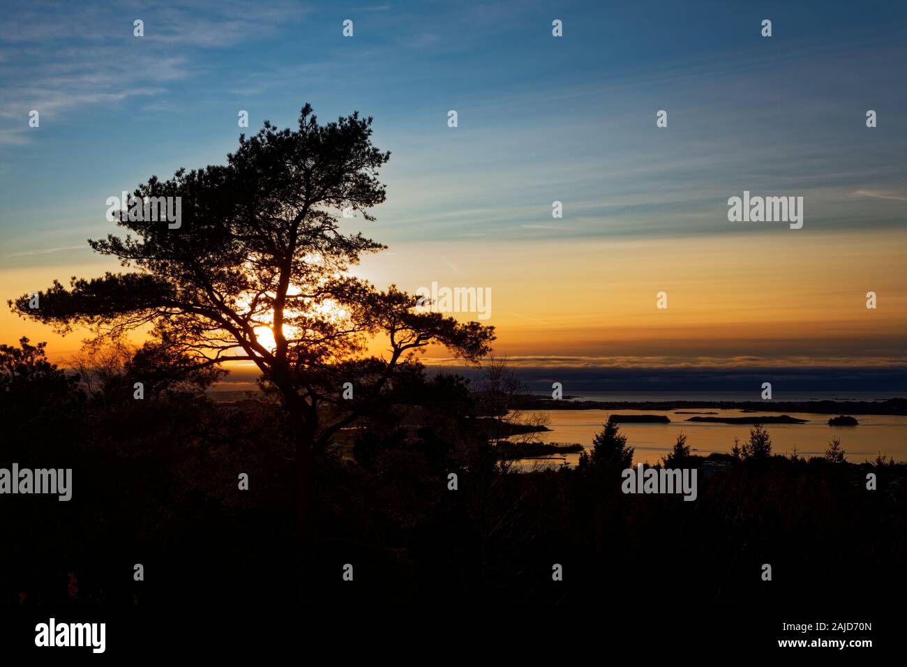 Tree covering the sun during sunset with bay in the background Stock ...