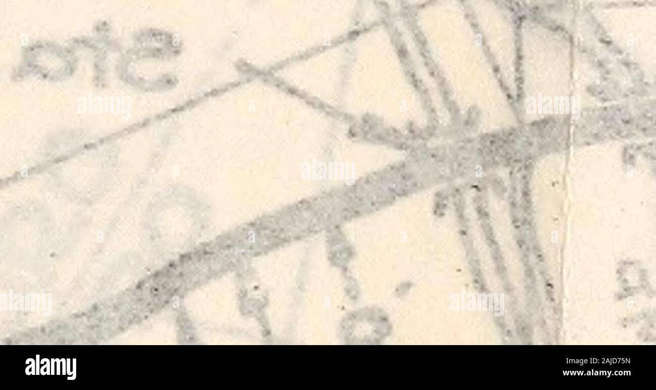 50 sta hi-res stock photography and images - Alamy