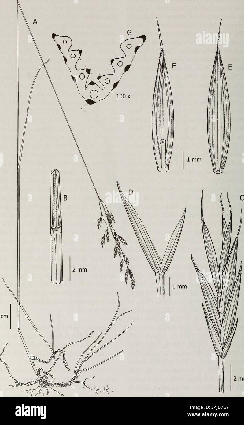 Type 83a hi-res stock photography and images - Alamy