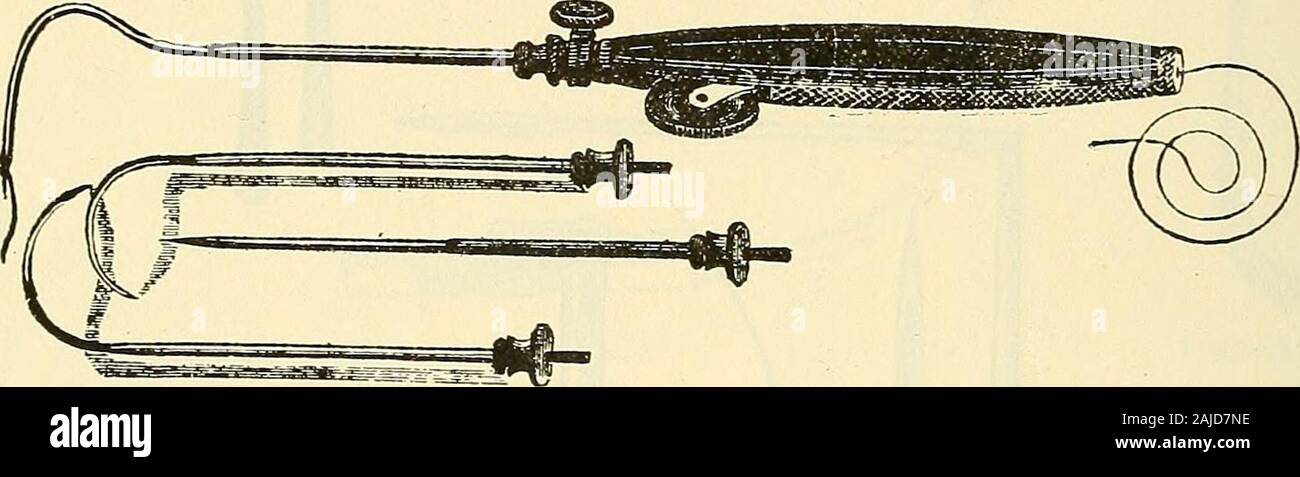 1365 1367 hi-res stock photography and images - Alamy