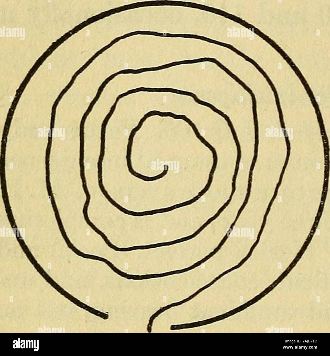 Stanford binet intelligence test hi-res stock photography and images ...