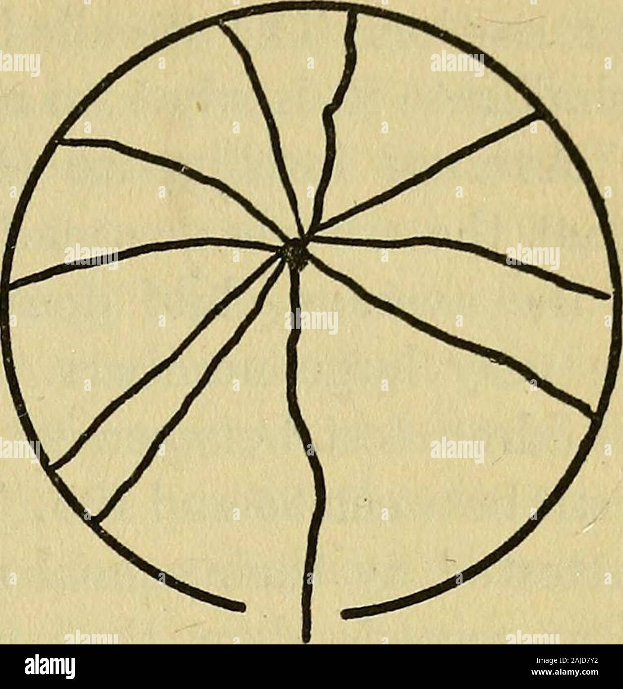 Stanford binet intelligence test hi-res stock photography and images ...