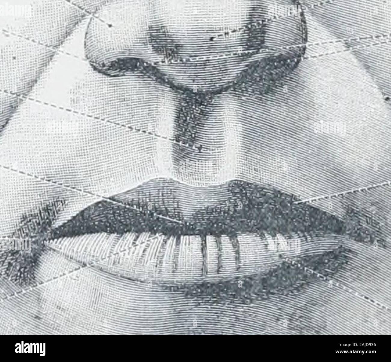 Oris root hi-res stock photography and images - Alamy