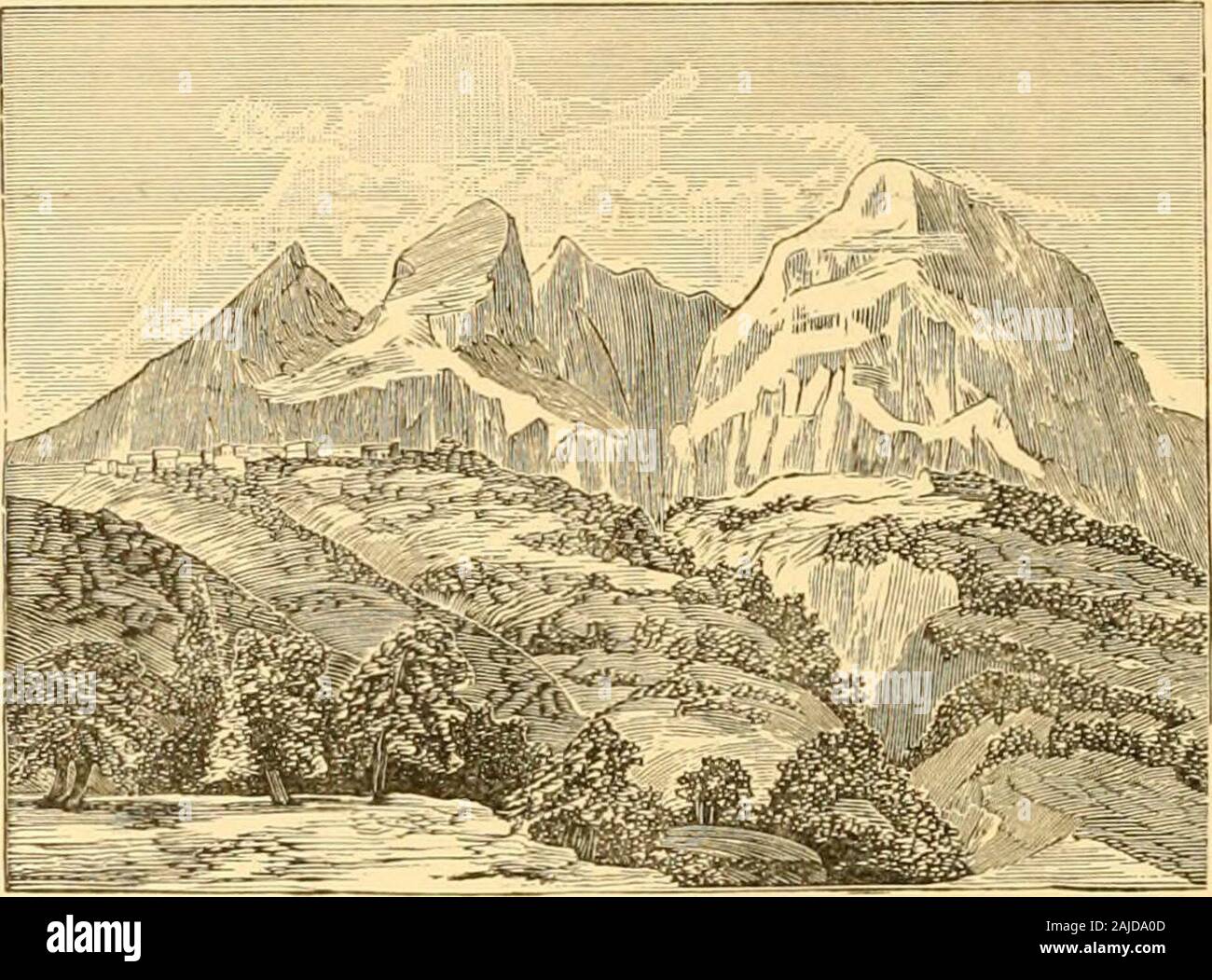 Delphi language hi-res stock photography and images - Alamy