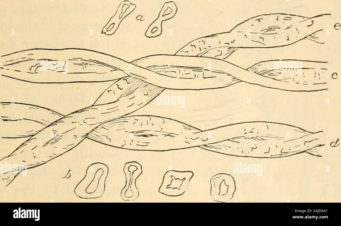 Structural fiber hi-res stock photography and images - Alamy