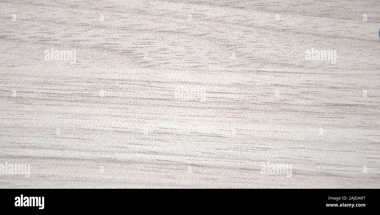 Bleached oak, natural wood texture close-up on a cut. Background Stock ...