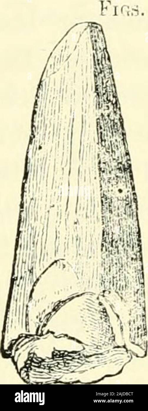 Crown lanes hi-res stock photography and images - Alamy