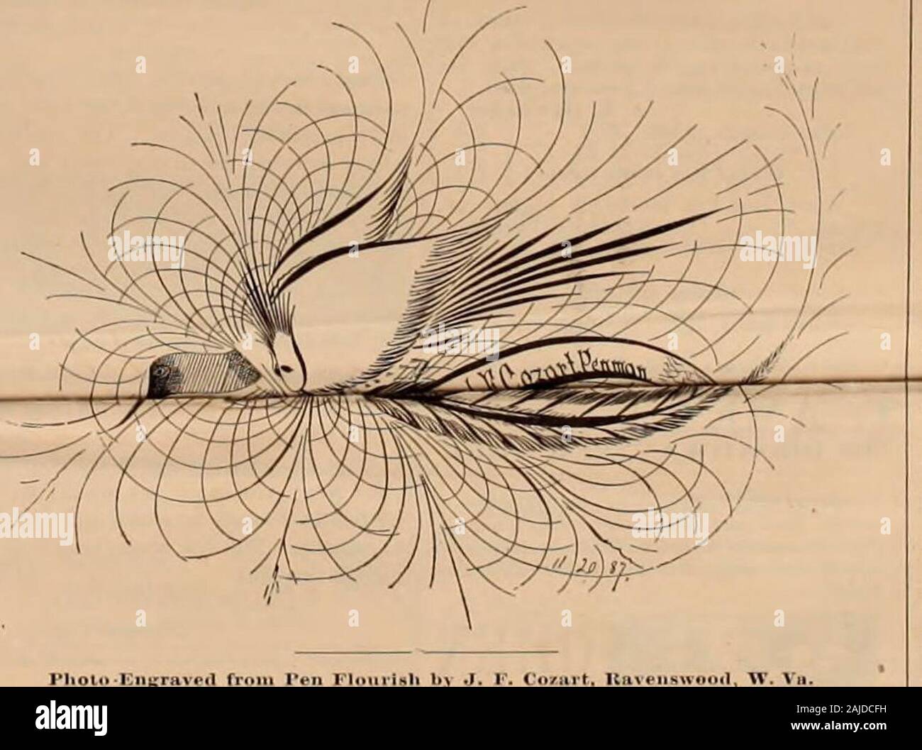 Lim letter hi-res stock photography and images - Alamy