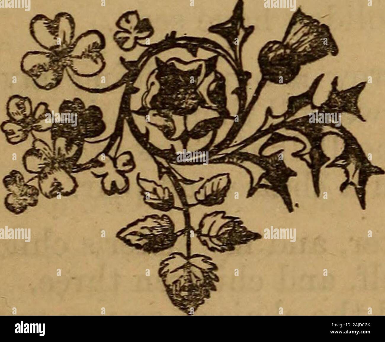 Meliorate hi-res stock photography and images - Alamy