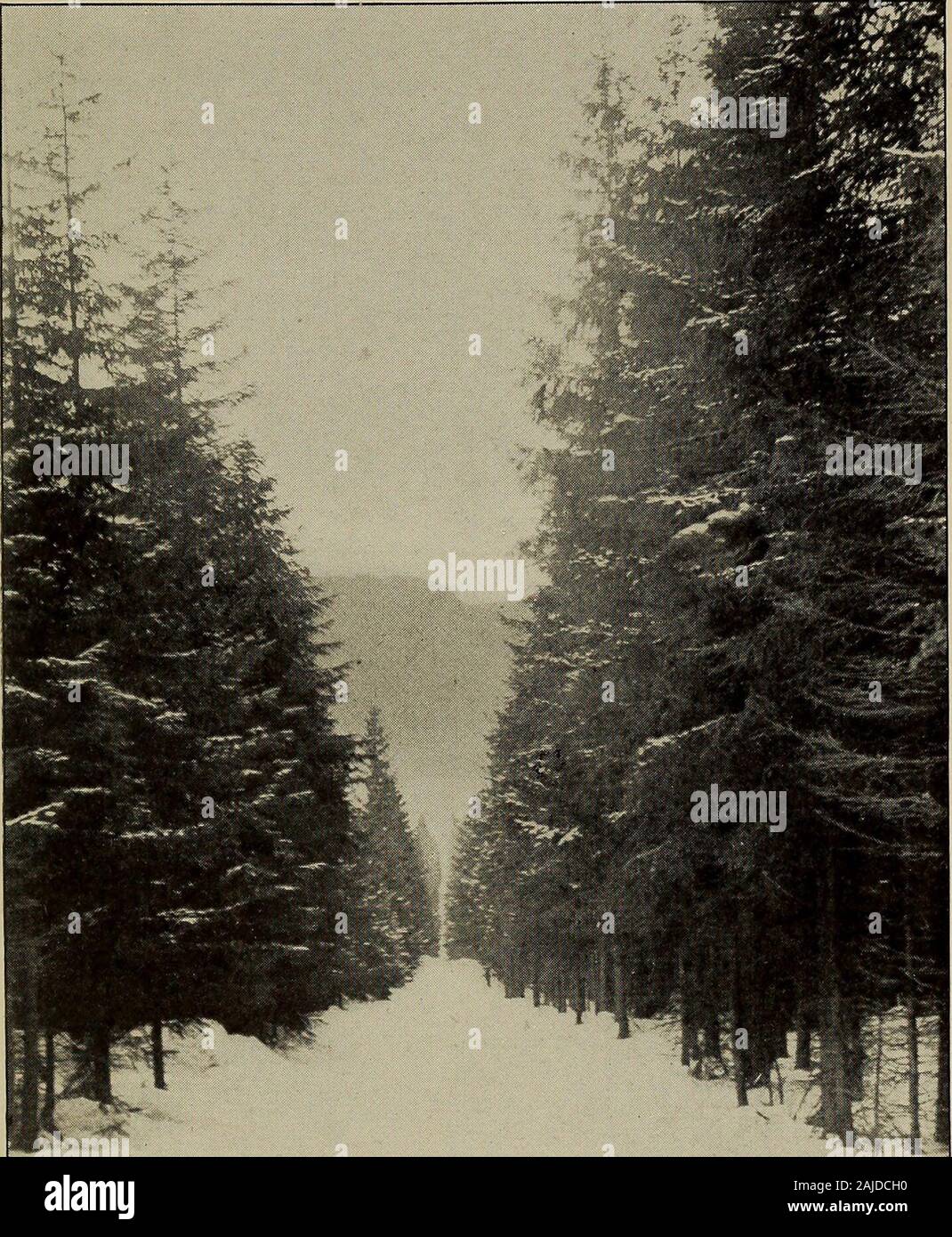 69 feet tall hi-res stock photography and images - Alamy