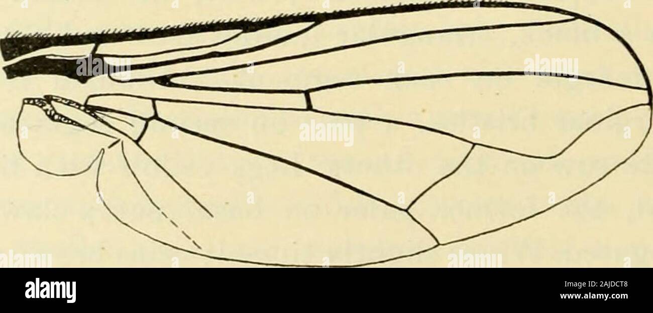 95 205 hi-res stock photography and images - Alamy