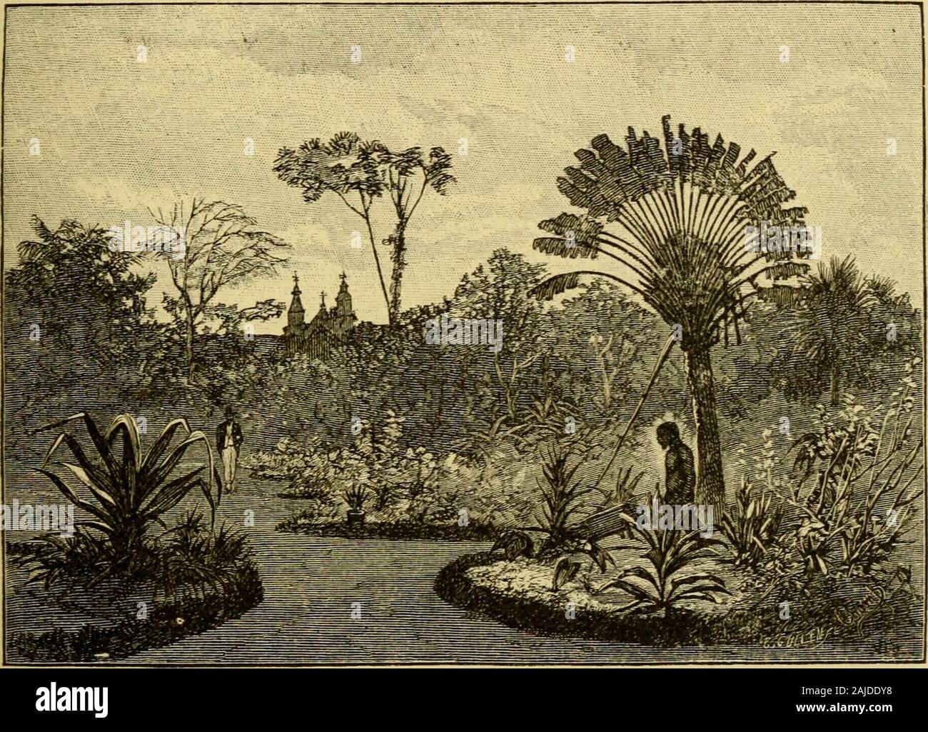 Anableps eyes hi-res stock photography and images - Alamy