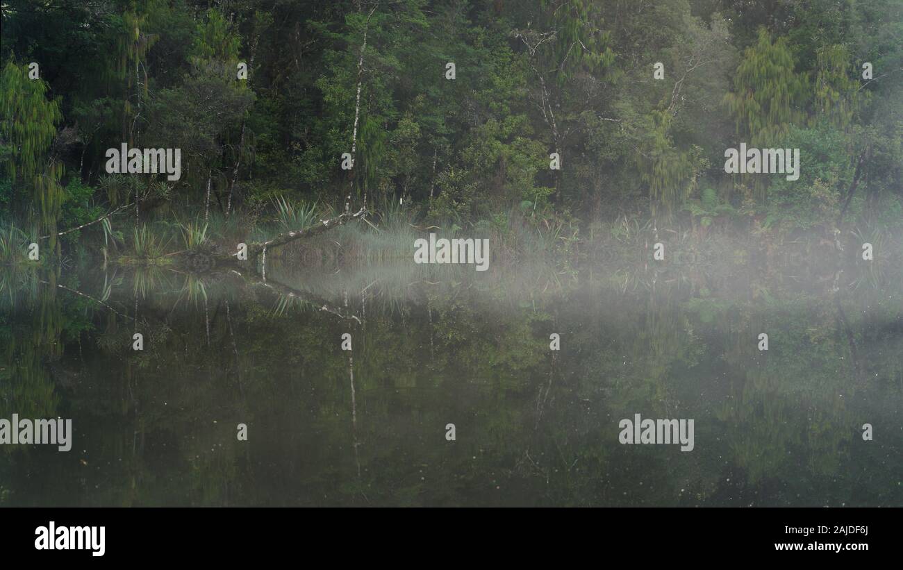 Mirror Tarn at Oparara basin in the rain, Kahurangi National Park, New ...