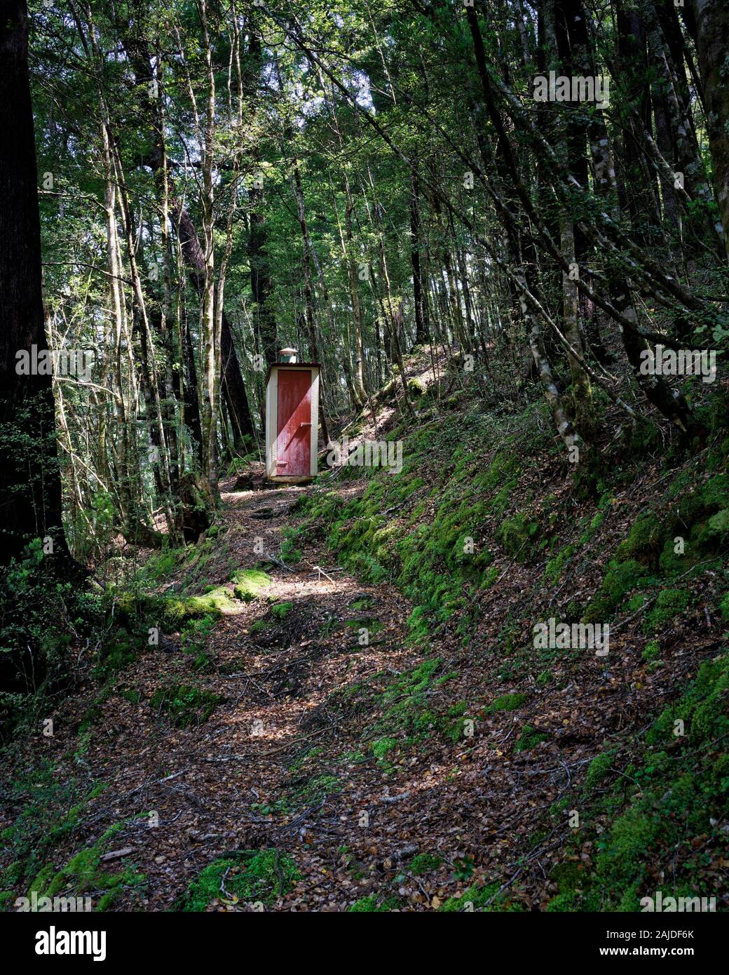 A back country toilet or outhouse at Lake Matiri hut, Kahurangi ...