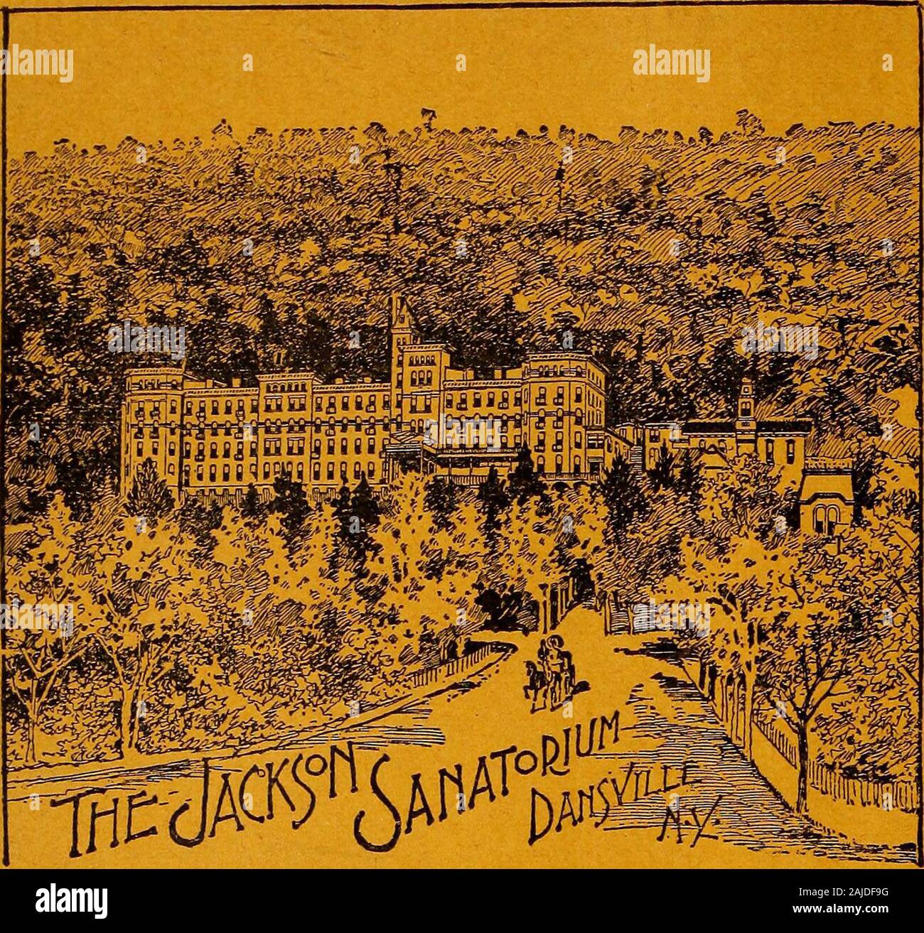 Ally ewing hi-res stock photography and images - Alamy