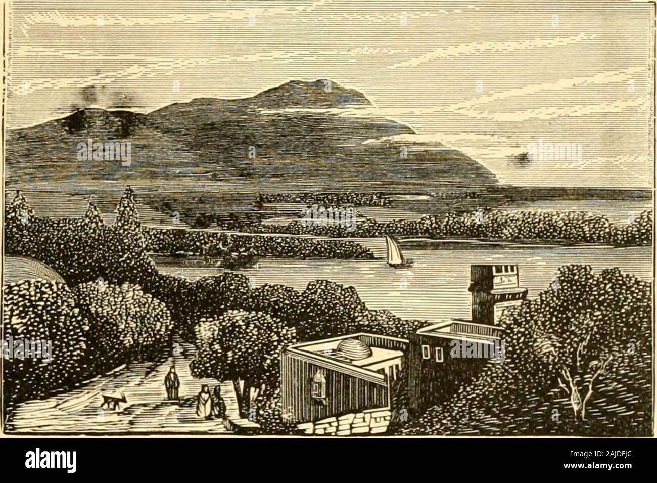 Trojan priest of apollo or poseidon hi-res stock photography and images ...