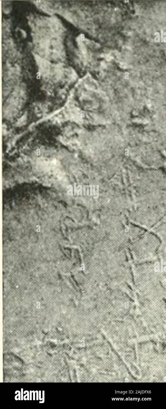 Gezer tunnel hi-res stock photography and images - Alamy