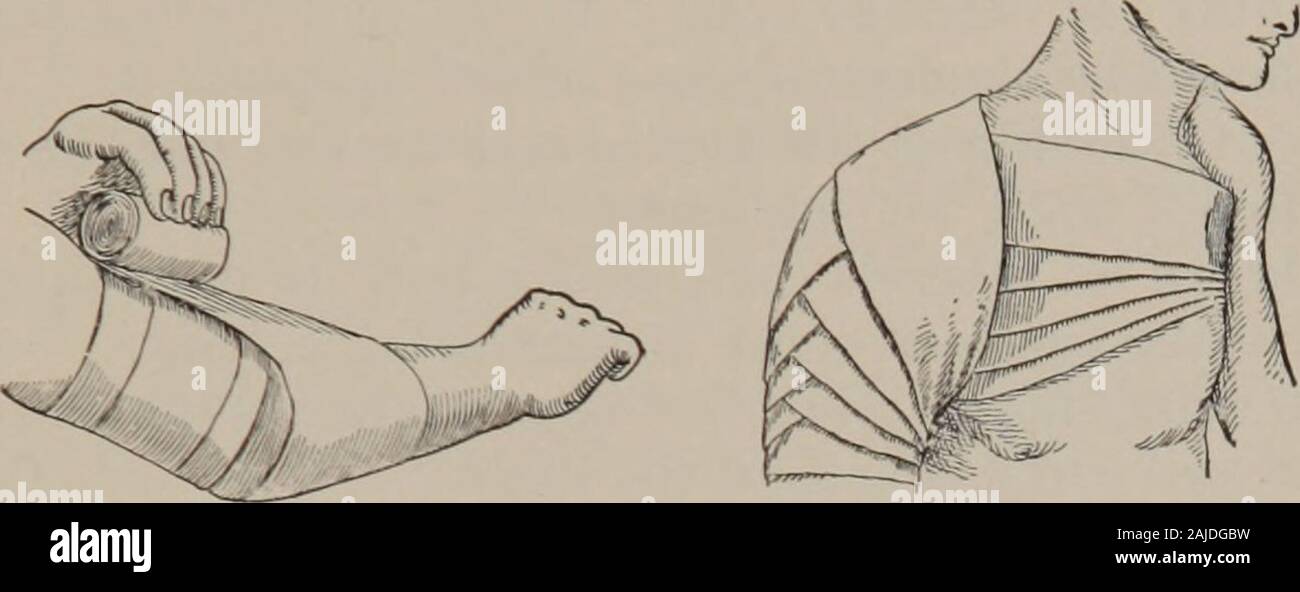 First-year nursing : a text-book for pupils during their first year of ...