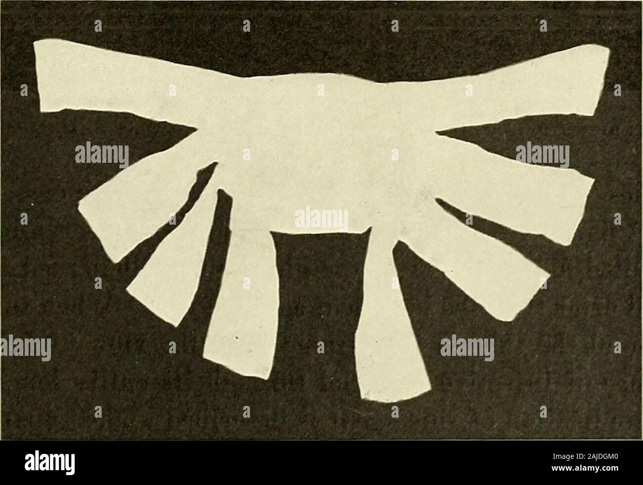 Muslin Binder Bandage