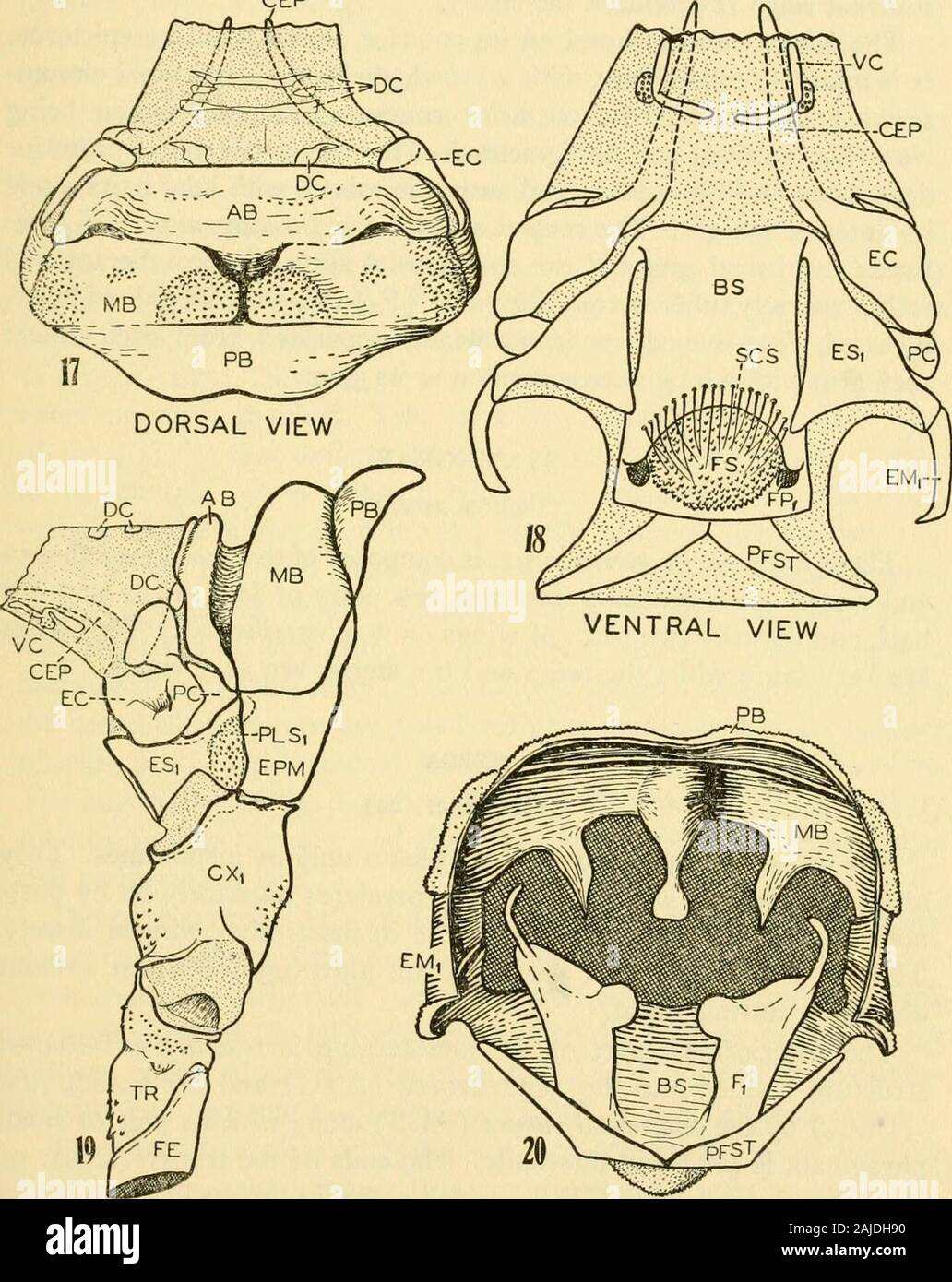 Long narrow piece hi-res stock photography and images - Alamy