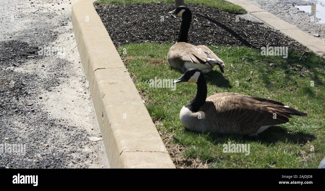 New castle delaware hi-res stock photography and images - Alamy