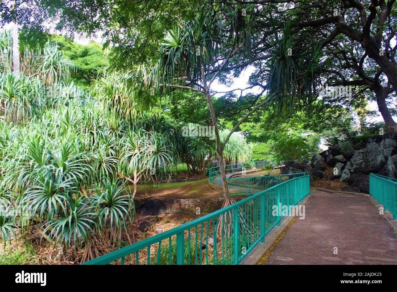 Landscape of a walkway in Hawaii Stock Photo - Alamy
