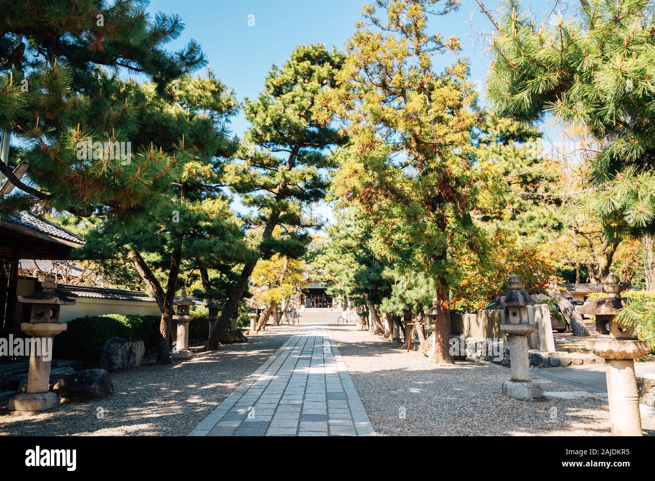 Gokonomiya shrine hi-res stock photography and images - Alamy