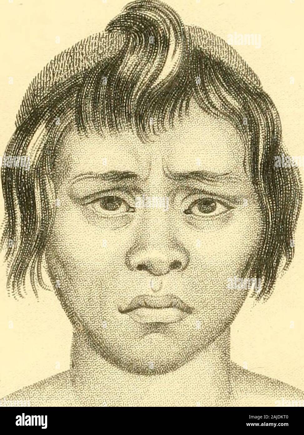 The animal kingdom, arranged after its organization : forming a natural ...