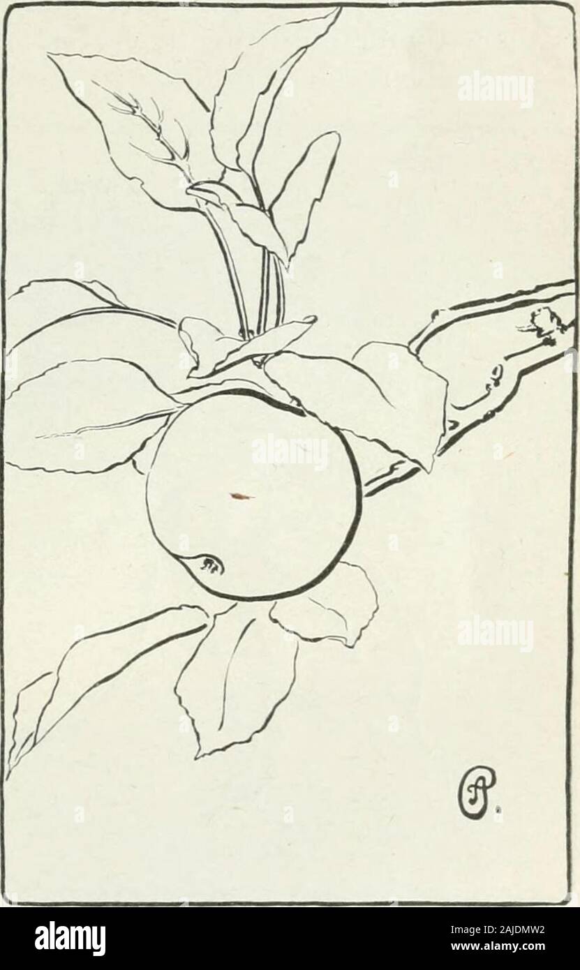 Faint pencil sketch hi-res stock photography and images - Alamy