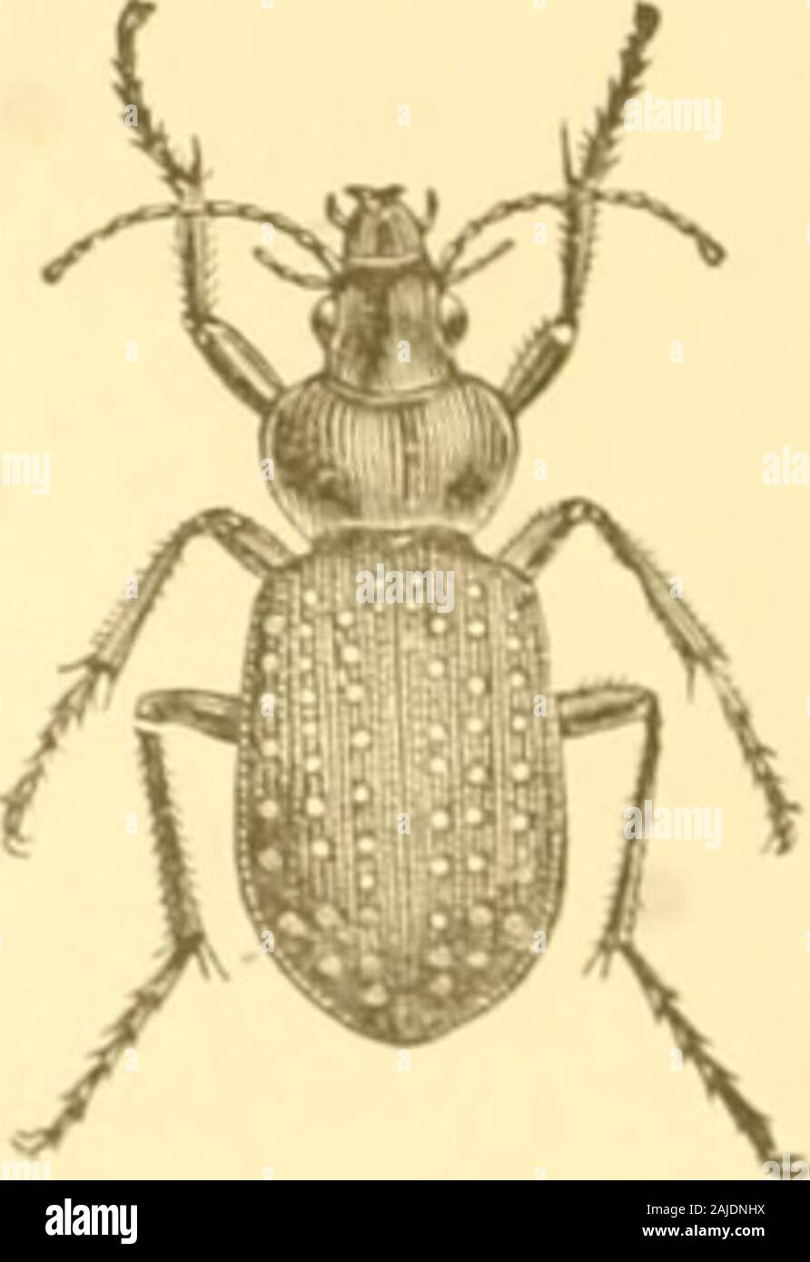 Whenthey hi-res stock photography and images - Alamy