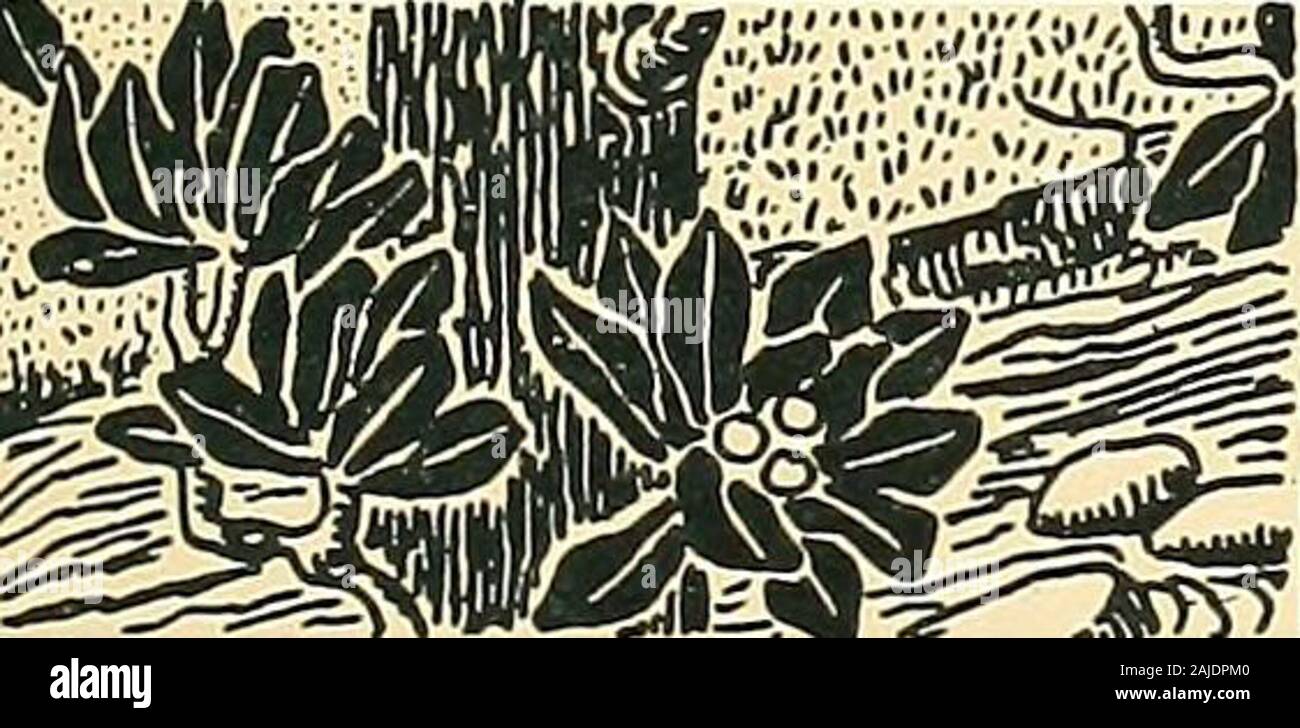 Other famous homes of Great Britain and their stories . WOLLATON ...