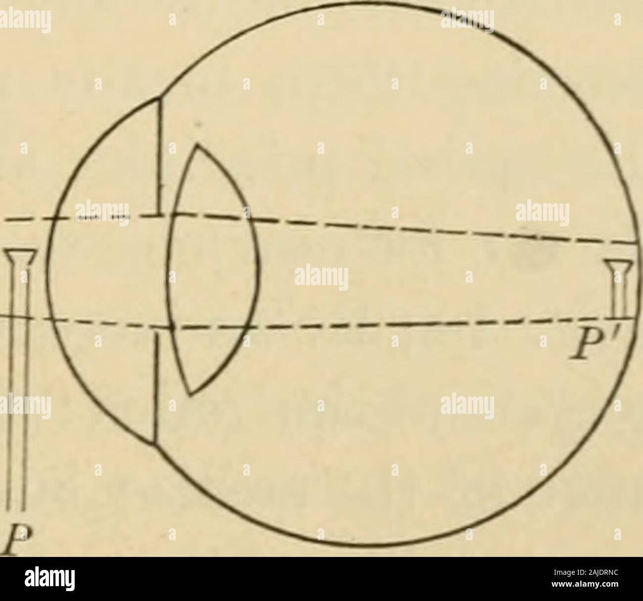 The vision retina inverted hi-res stock photography and images - Alamy