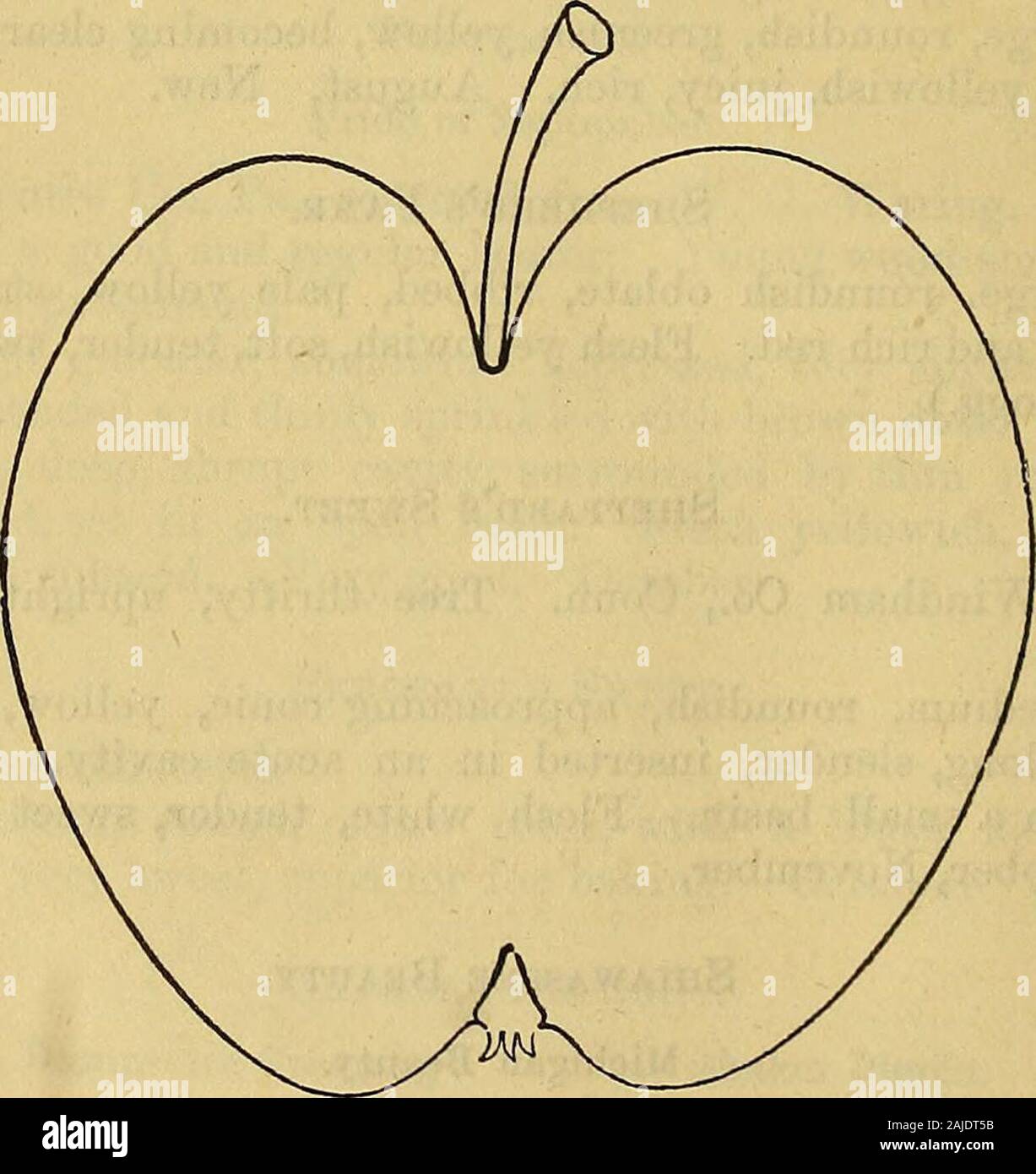 Large calyx hi-res stock photography and images - Alamy